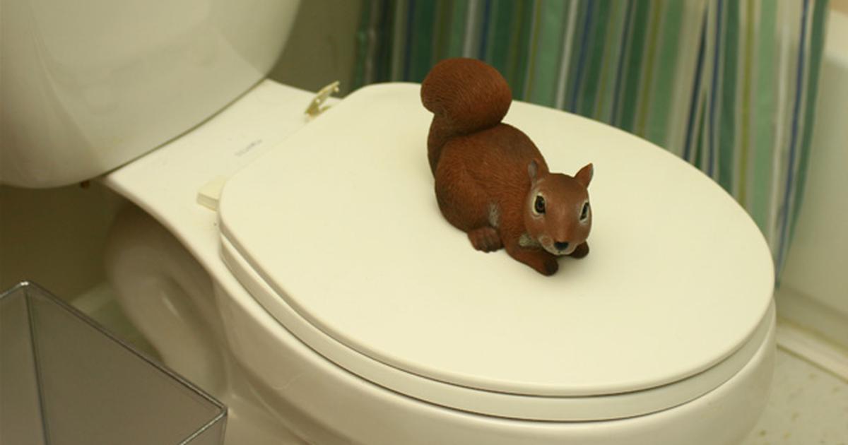 Potty Break – Morgantown, West Virginia